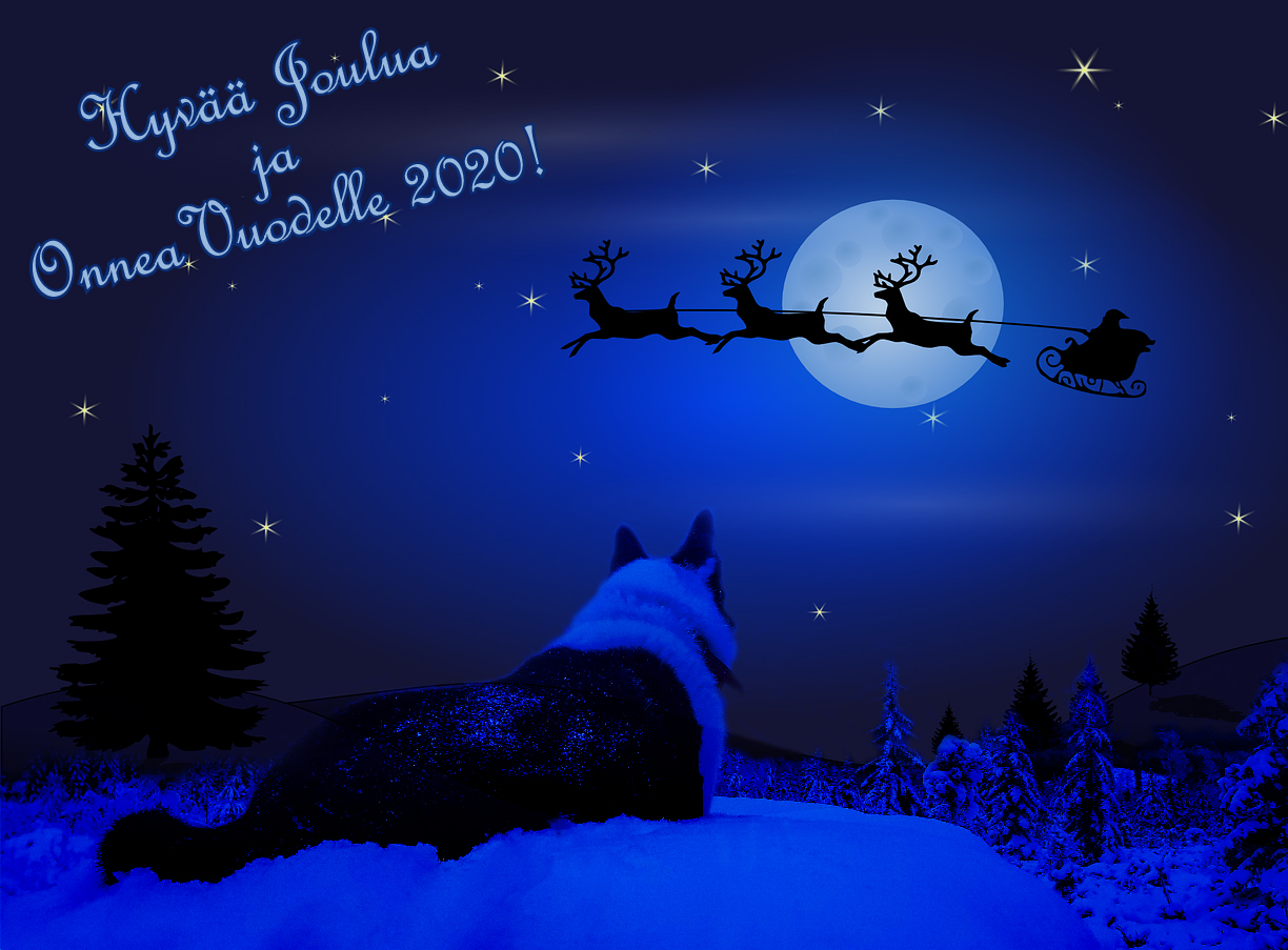 Suomen Pystykorvajärjestön joulutervehdys – Suomen Pystykorvajärjestö