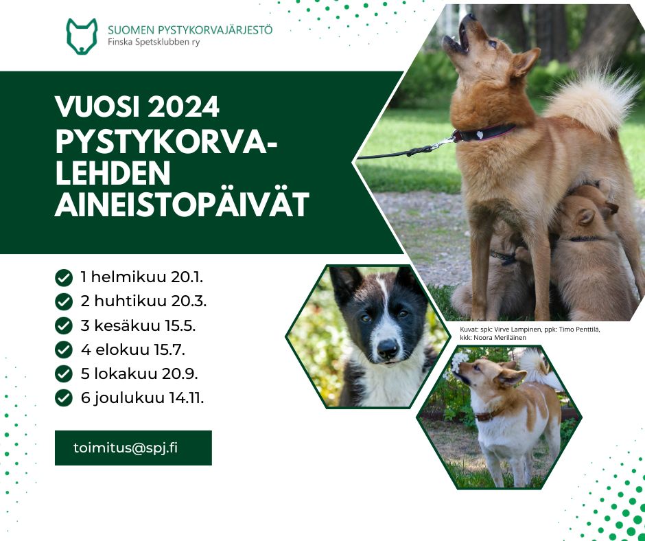 Pystykorva-lehti – Suomen Pystykorvajärjestö